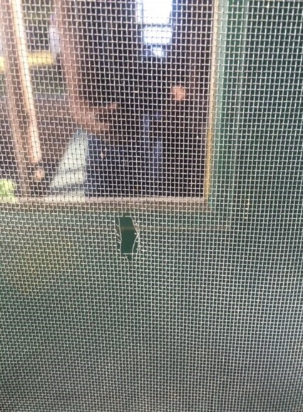 Window and Door Screen Care | Flower City Glass